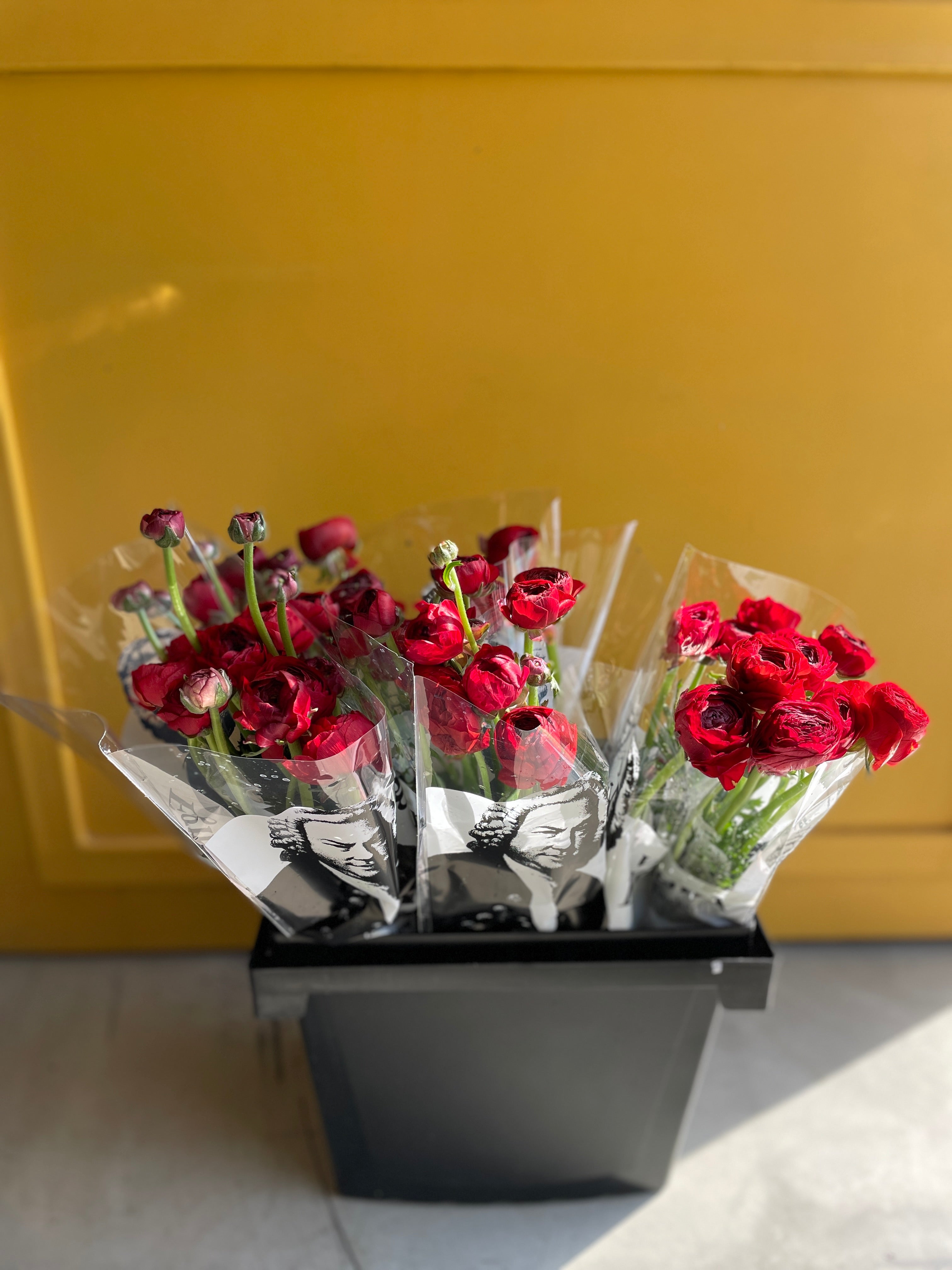 Ranunculus Red – Bloom Inn