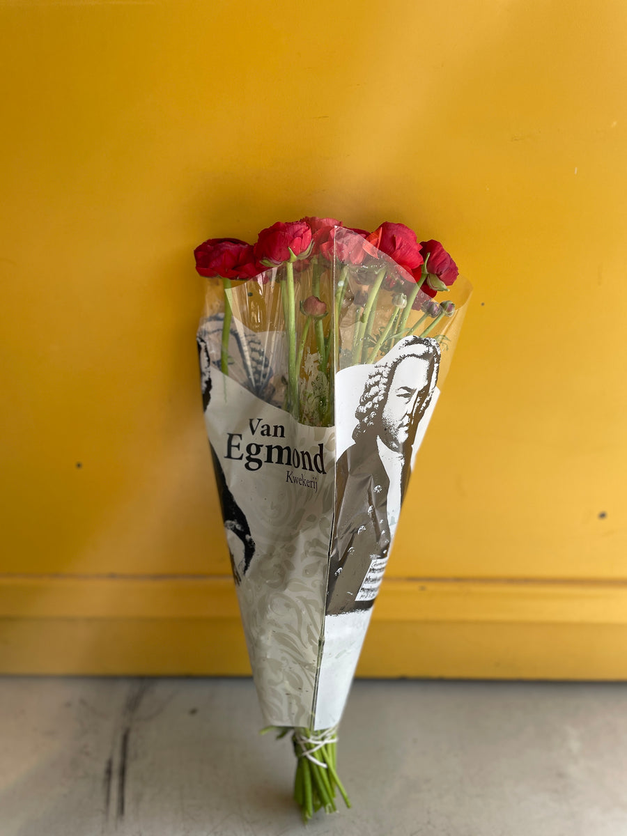 Ranunculus Red – Bloom Inn