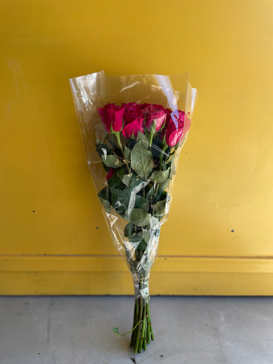 Rose Zanta روز – Bloom Inn