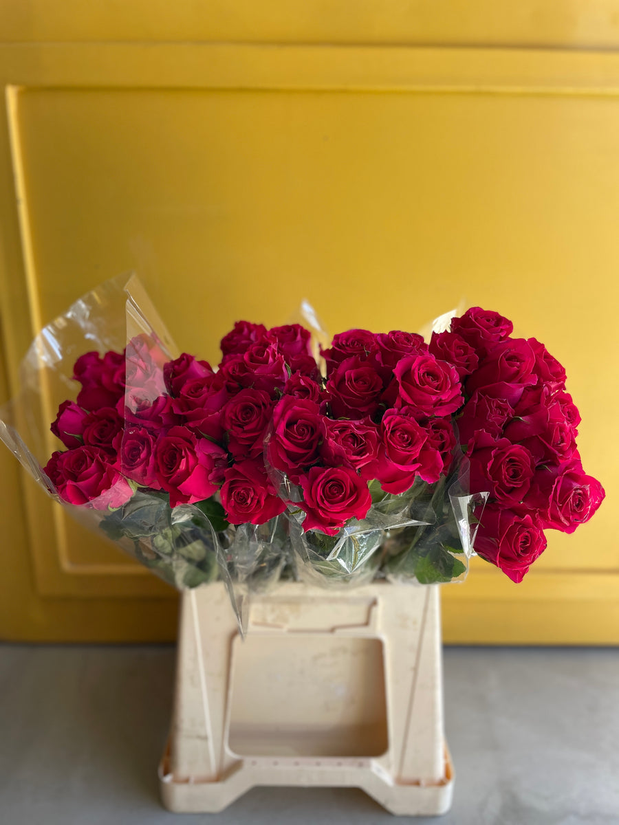 Rose Zanta روز – Bloom Inn