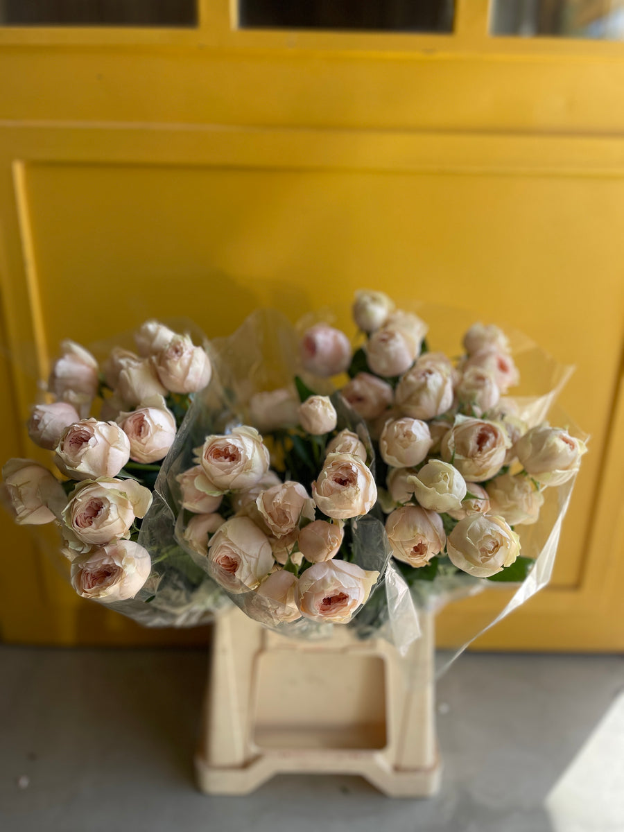 Garden Spray Rose Emma Wood House Garden Rose – Bloom Inn